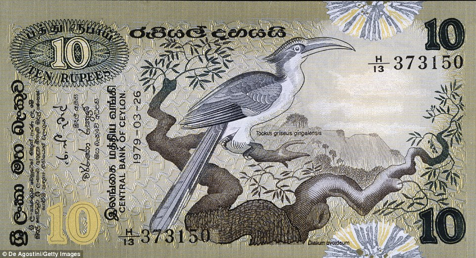 Birds – Banknotecoinstamp