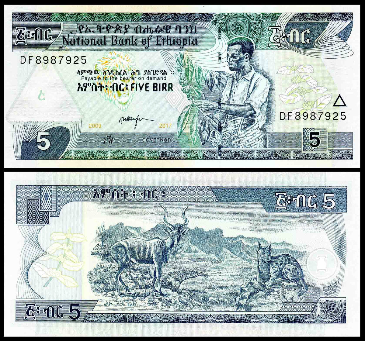 Ethiopia 5 Birr Very Fine Banknote – Banknotecoinstamp