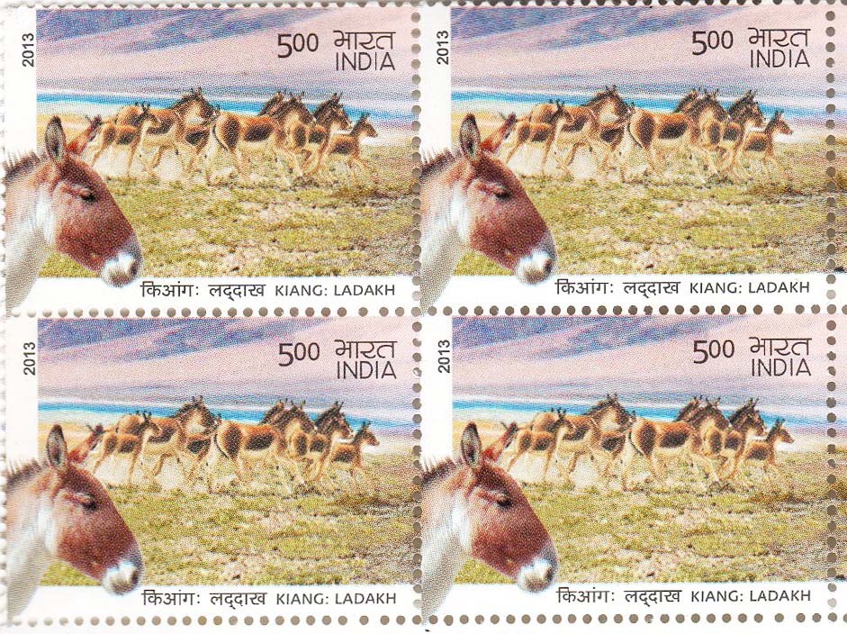 India kiang Ladakh Block Of 4 Stamps – Banknotecoinstamp