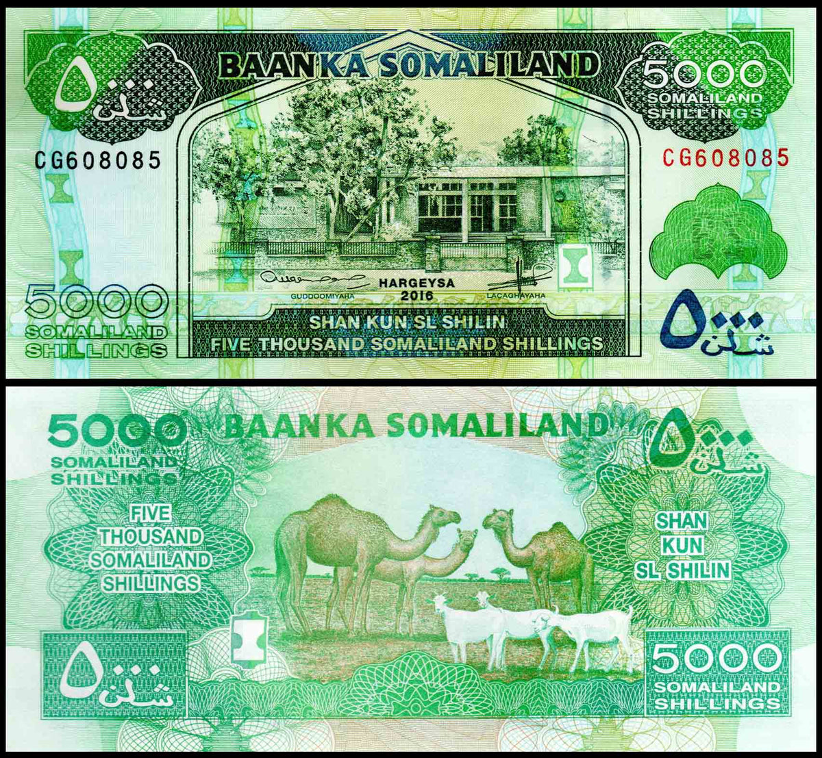 Somaliland 5000 Shillings Fine Banknote – Banknotecoinstamp