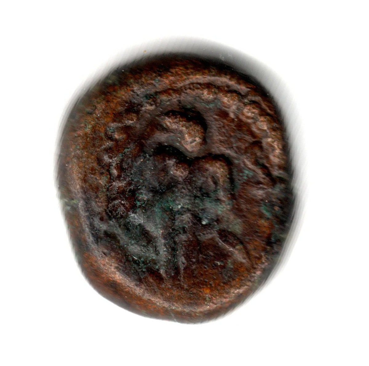 South Indian Chola Ancient Coin – Banknotecoinstamp