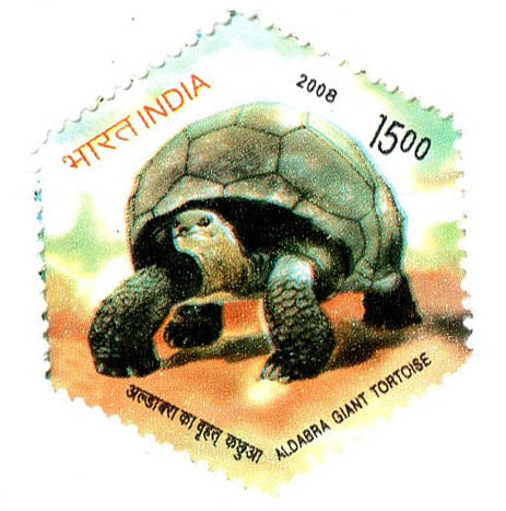 India Aldabra Giant Tortoise Postage Stamp– Banknotecoinstamp