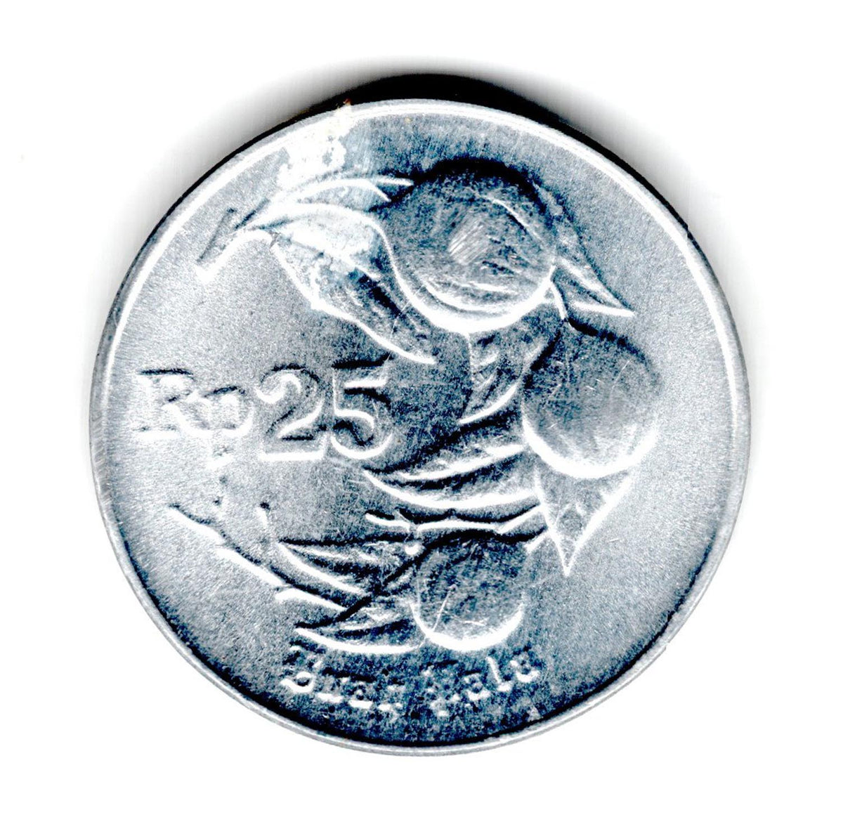 Indonesia 25 Rupiah Used Coin – Banknotecoinstamp