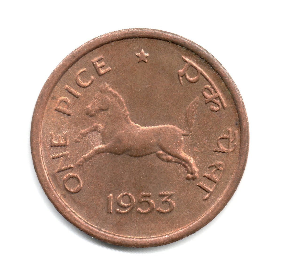 Gov. of India Horse 1 Pice 1953 Used Coin – Banknotecoinstamp