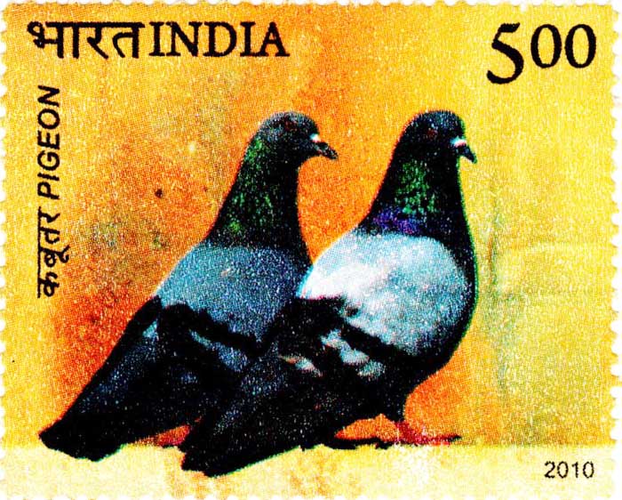 India Pigeon Postage Stamp– Banknotecoinstamp