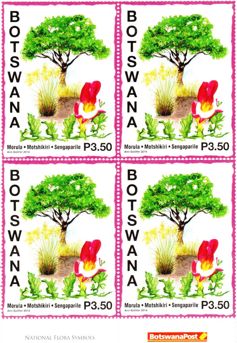 Botswana Morula Block Of 4 Stamps – Banknotecoinstamp
