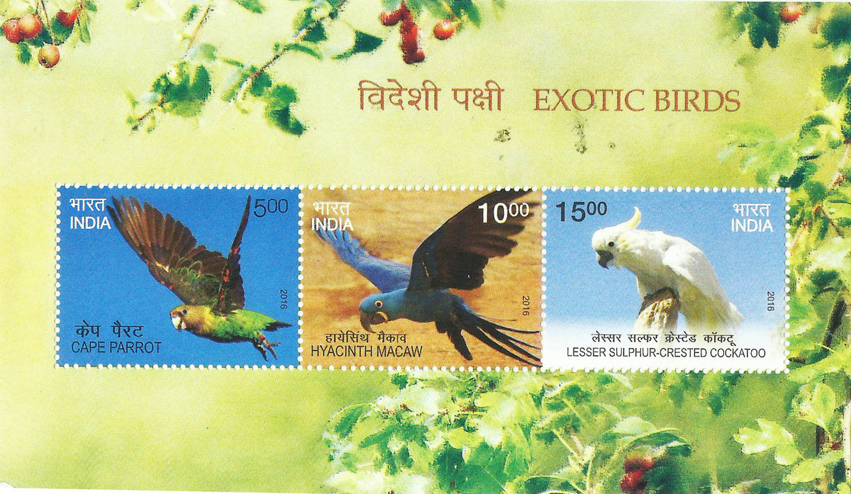 India Exotic birds Miniature sheet With Stamp – Banknotecoinstamp