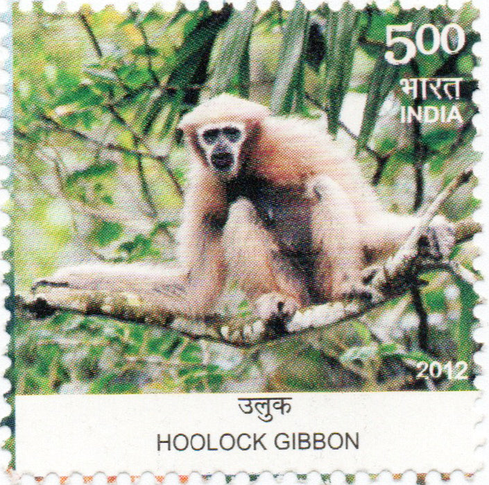 India Hoolock Gibbon Postage Stamp – Banknotecoinstamp