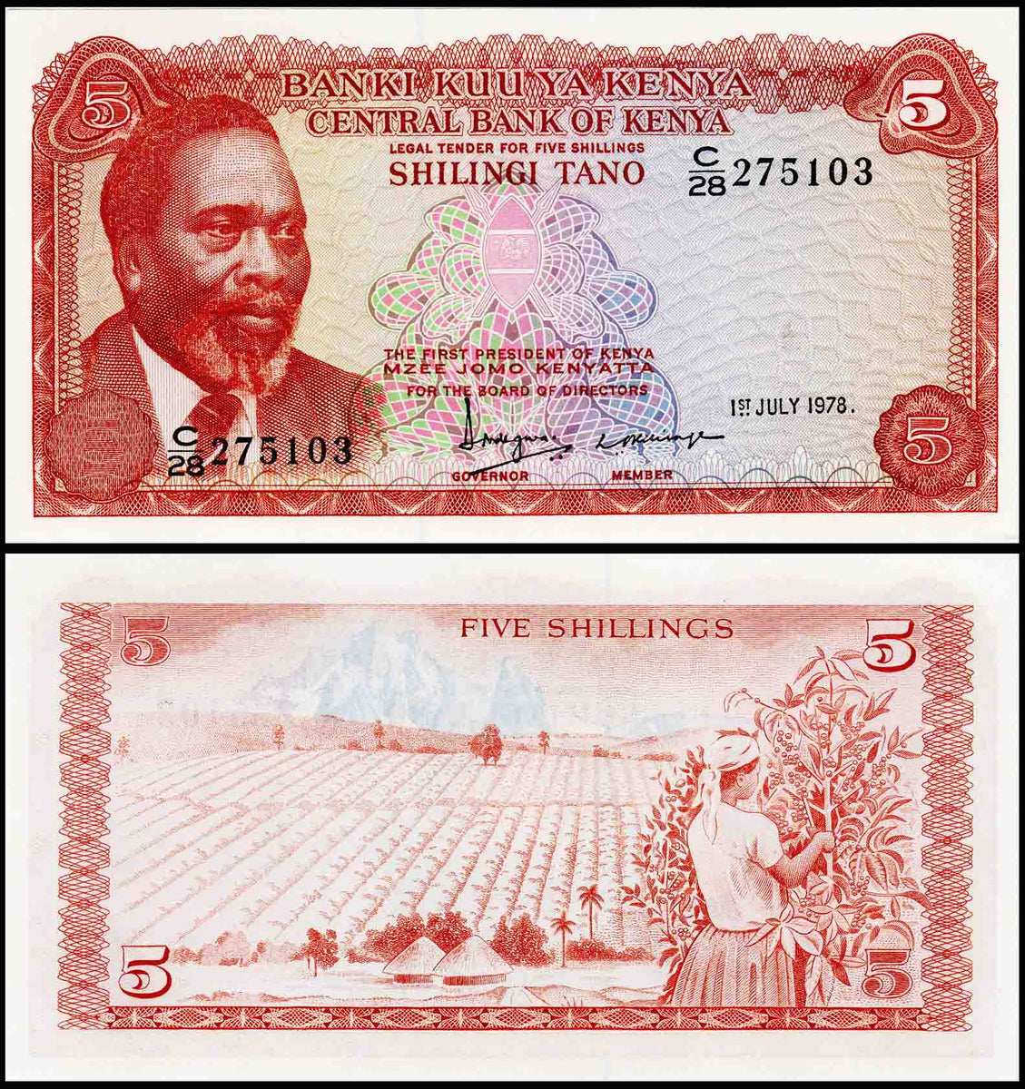 Kenya 5 Shillings Fine Banknote – Banknotecoinstamp