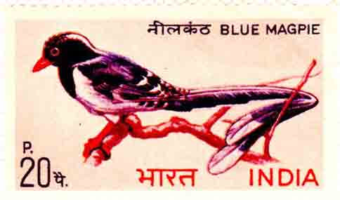 India Blue Magpie Postage Stamp – Banknotecoinstamp