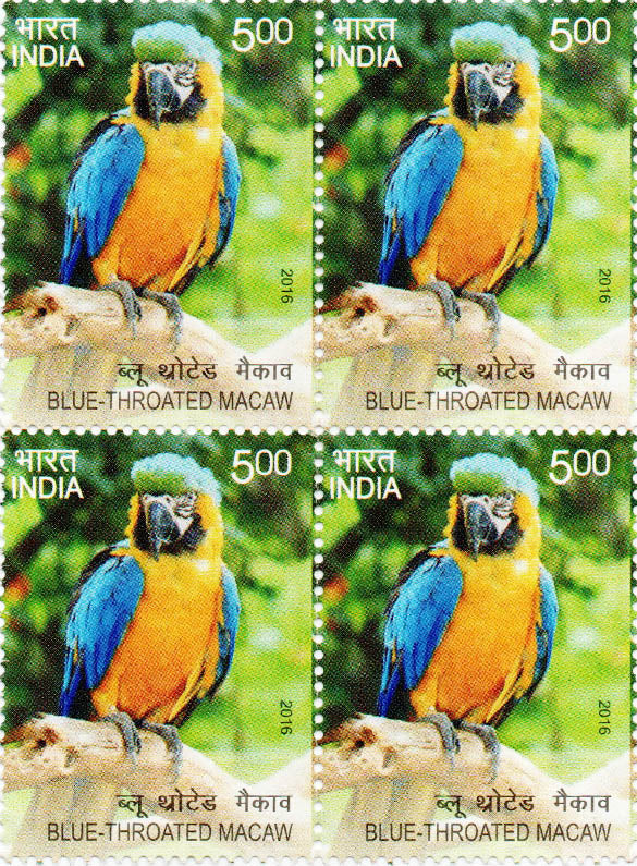 India Blue Throated Macaw Block Of 4 Stamps – Banknotecoinstamp