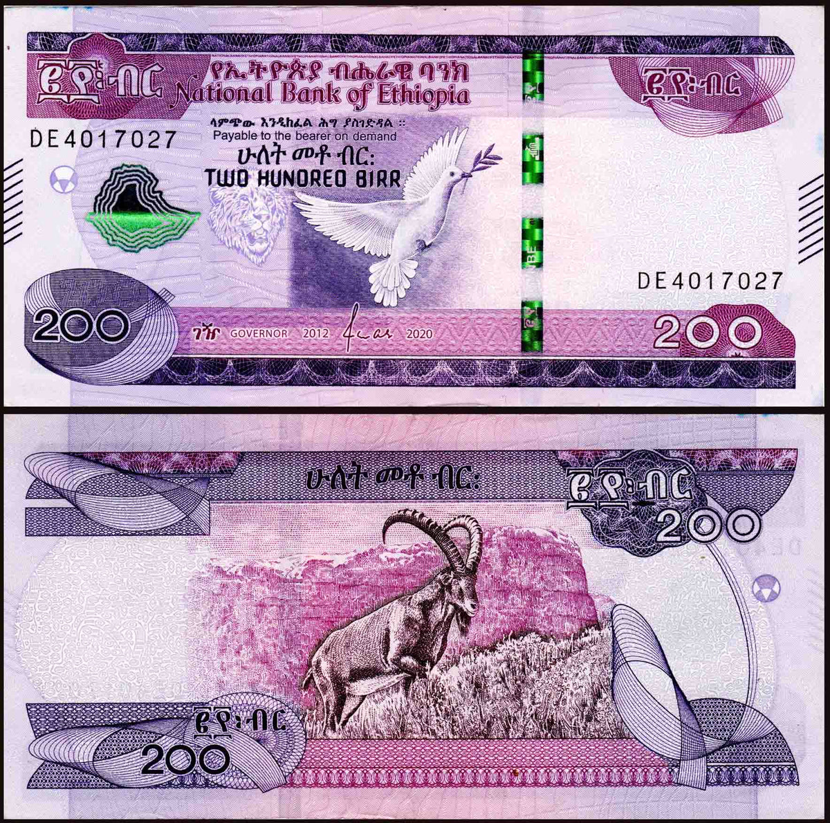 Ethiopia 200 Birr Used Banknote – Banknotecoinstamp