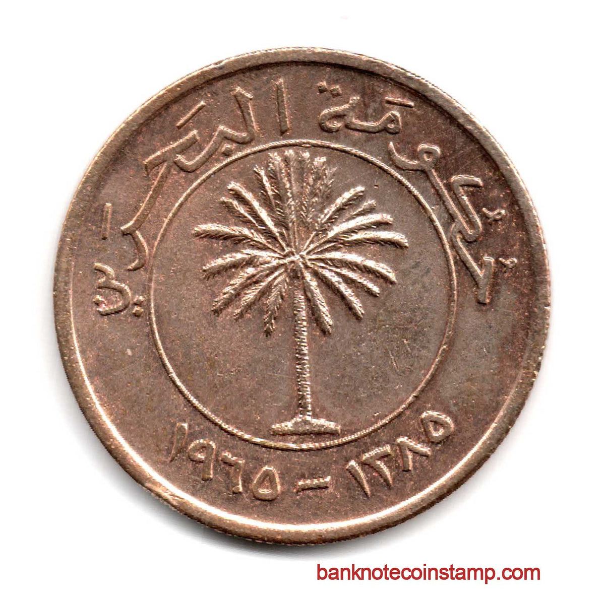 Bahrain 50 Fils Used Coin – Banknotecoinstamp