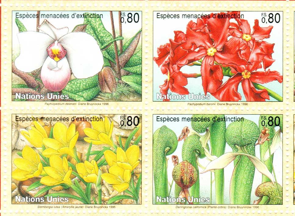 United Nations Geneva Block Of 4 Stamps – Banknotecoinstamp