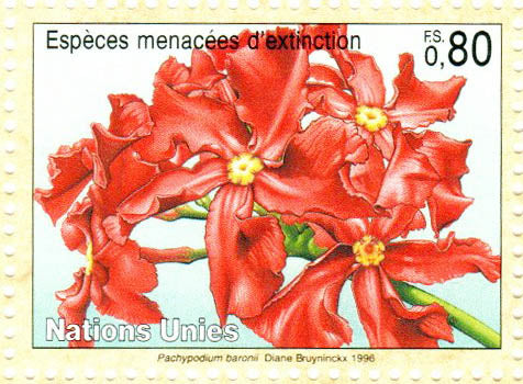 United Nations Red Bignonia Flower Postage Stamp – Banknotecoinstamp