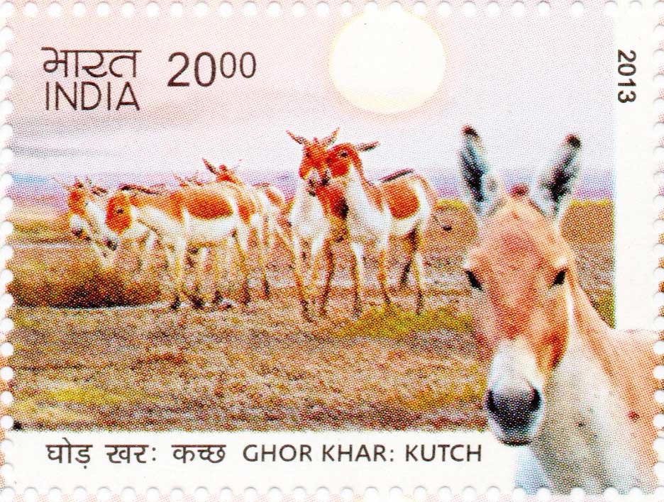 India Kutch Ghor Khar Postage Stamps – Banknotecoinstamp