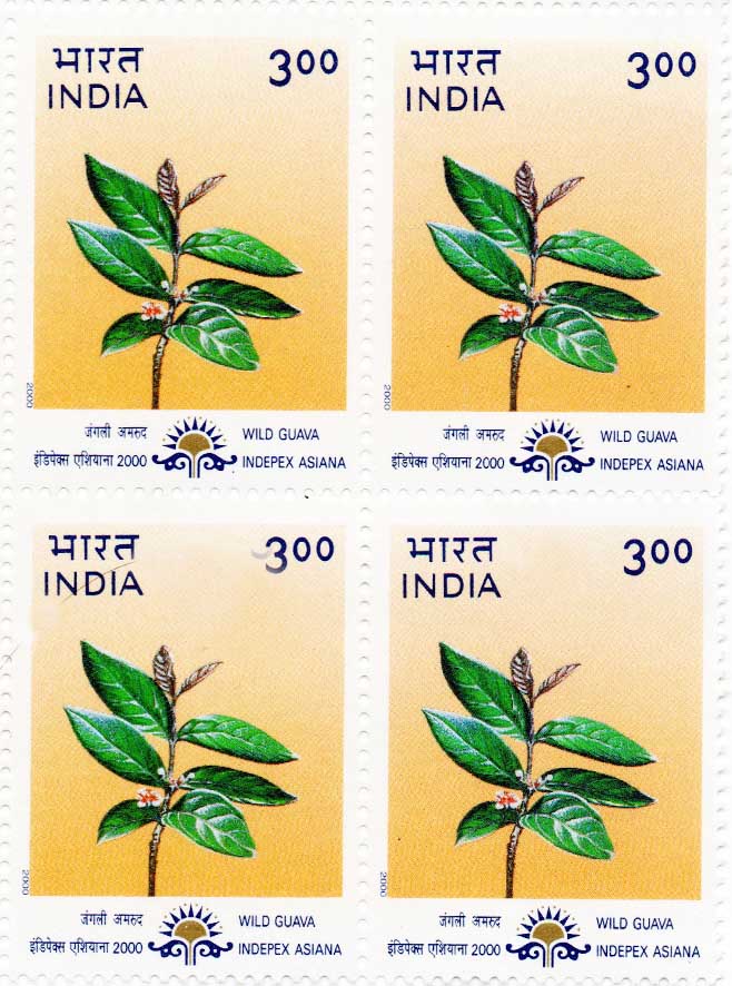 India Wild Guava Block of 4 Stamps – Banknotecoinstamp